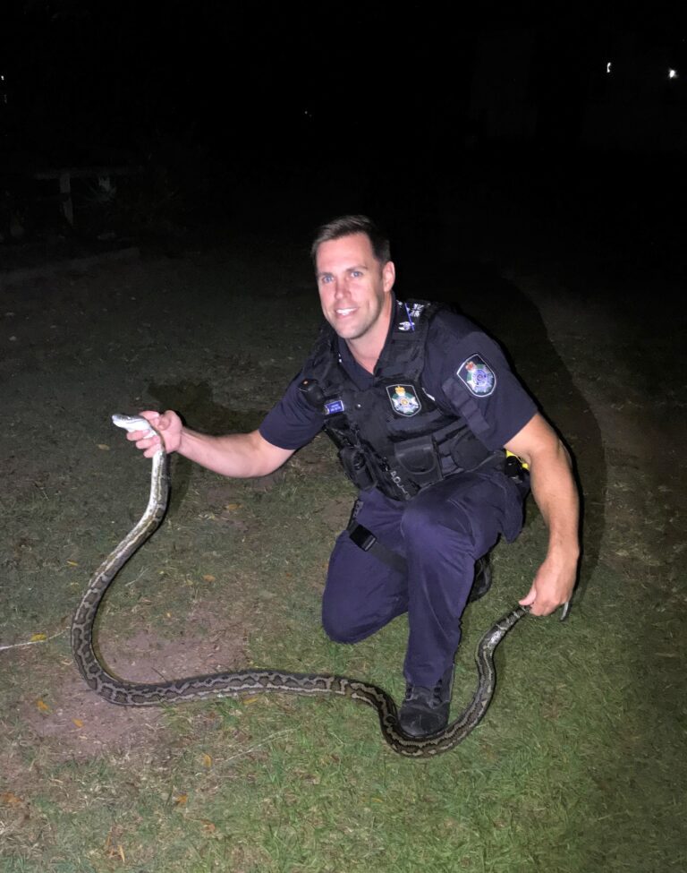 The Navy Diver X Dane Britton. Former Australian Army Veteran and ...
